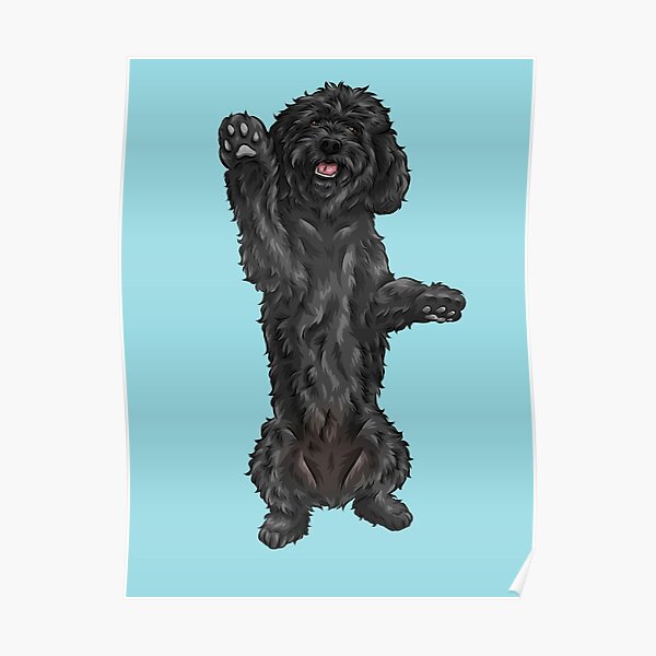 "Cute Black Cockapoo Dog" Poster for Sale by shirinsart | Redbubble