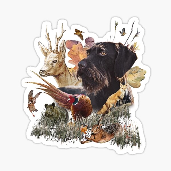 "Hunting Companion , German Wirehaired Pointer" Sticker for Sale by ...