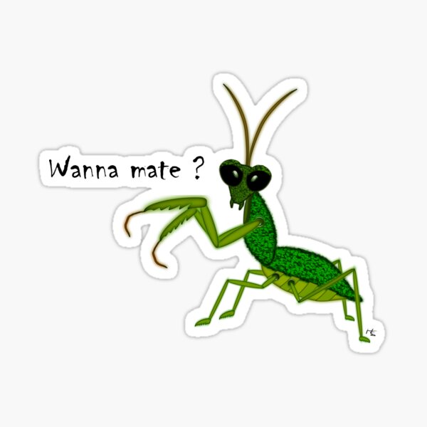 "Praying mantis" Sticker for Sale by mSarar | Redbubble