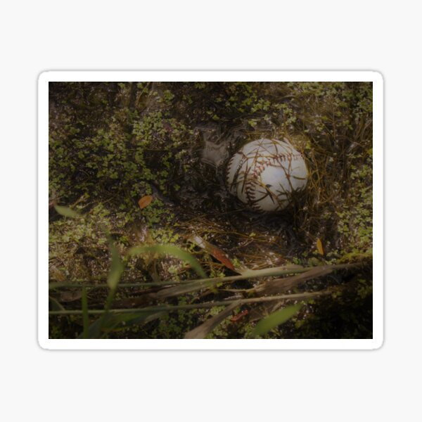 "baseball in weeds" Sticker for Sale by james17photos | Redbubble