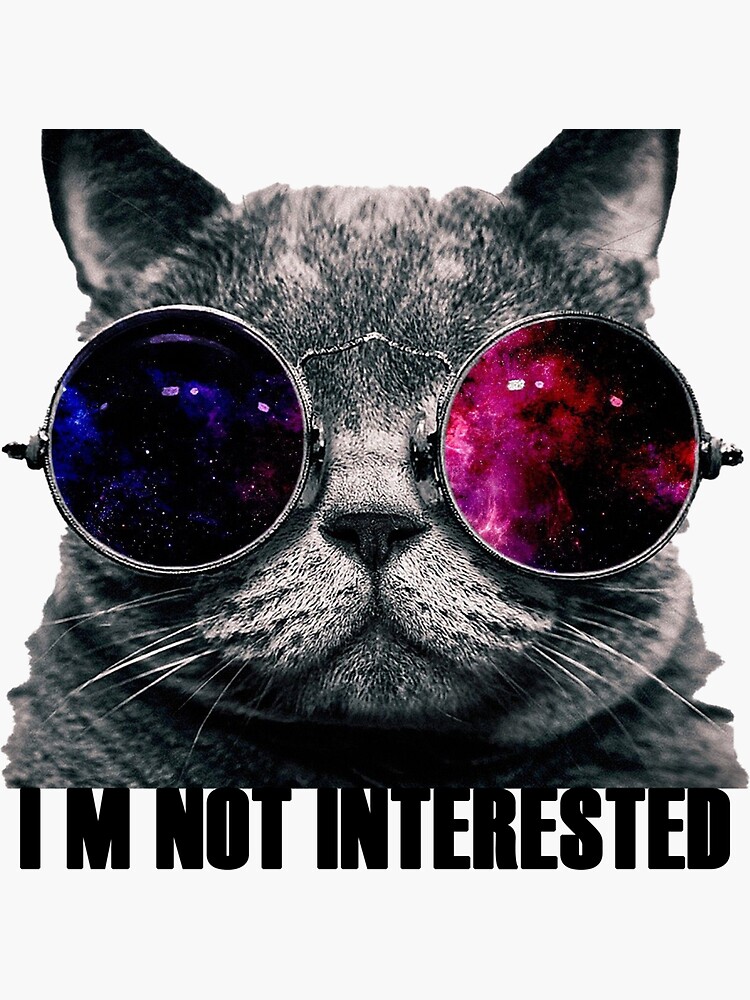 "Cute cat (i m not interested" Sticker for Sale by Store-Hassan | Redbubble