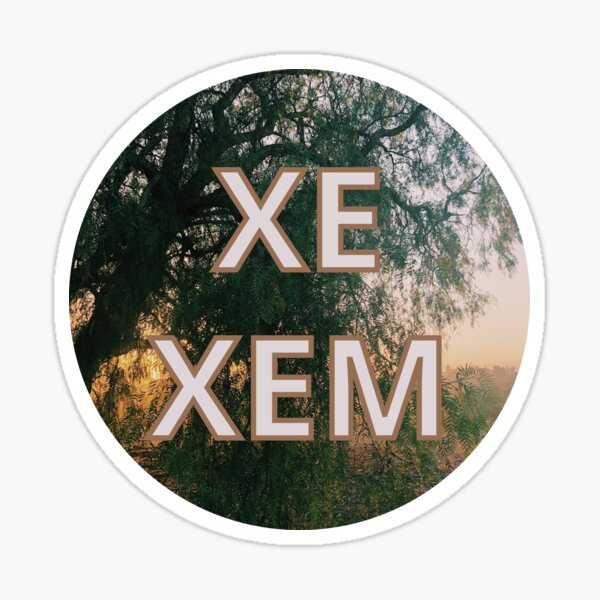 "Sunset Xe Xem Pronouns" Sticker for Sale by homotropic | Redbubble
