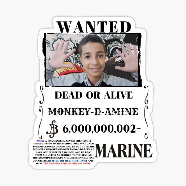 "bounty for the arrest of Amine by the marine" Sticker for Sale by ...