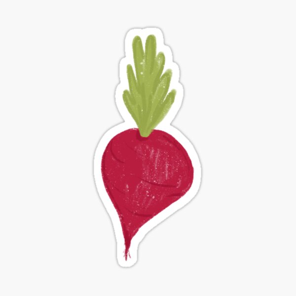 "beet" Sticker for Sale by ellajklein | Redbubble
