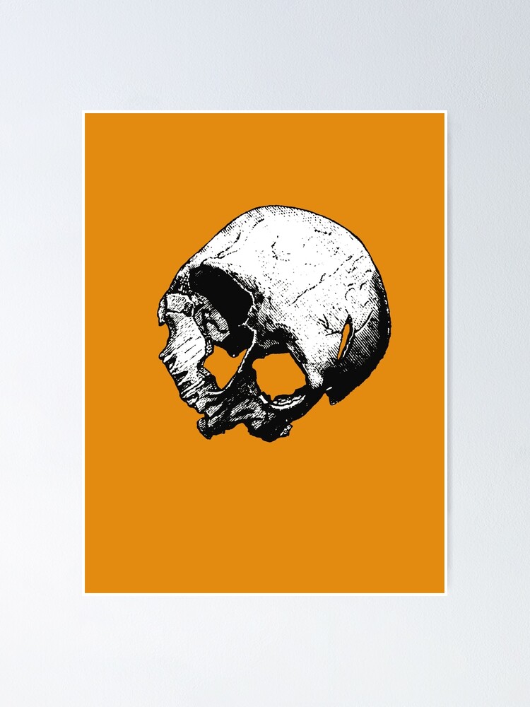 "Broken Human Cranium Vintage Illustration Vectorized" Poster for Sale ...