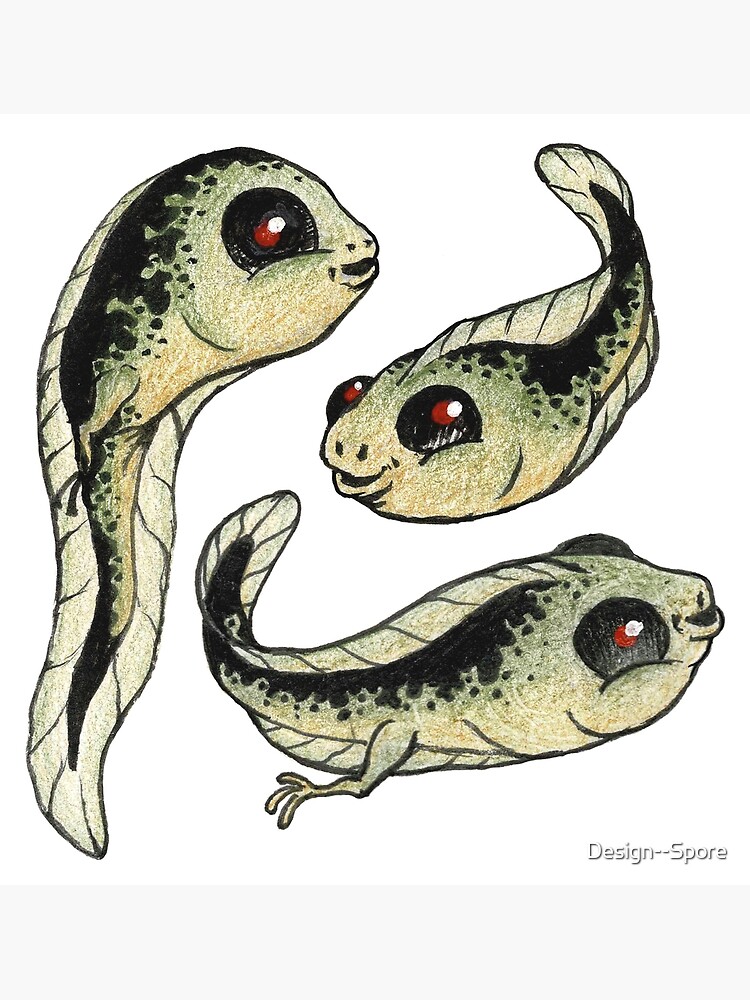 "Devil Spawn - Devilishly cute Tadpoles" Poster for Sale by Design ...