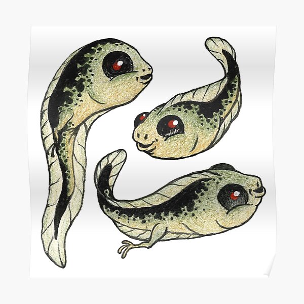 "Devil Spawn - Devilishly cute Tadpoles" Poster for Sale by Design ...