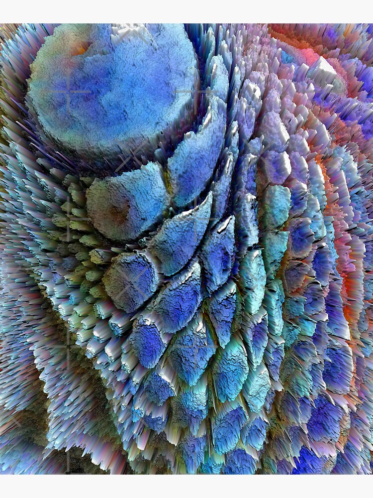 "Dorsalus" Sticker for Sale by SpilloDesign | Redbubble