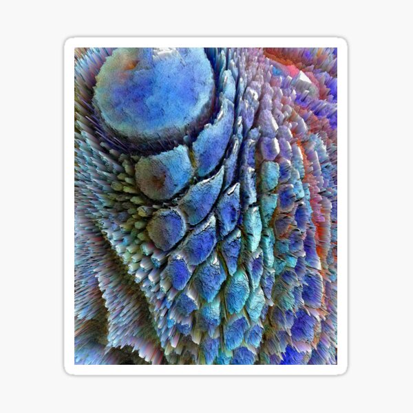 "Dorsalus" Sticker for Sale by SpilloDesign | Redbubble