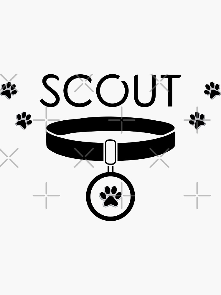 "SCOUT Pet's Name - My girl cat name is SCOUT - SCOUT cat's Name ...