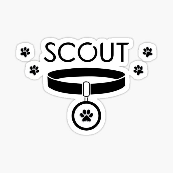 "SCOUT Pet's Name - My girl cat name is SCOUT - SCOUT cat's Name ...
