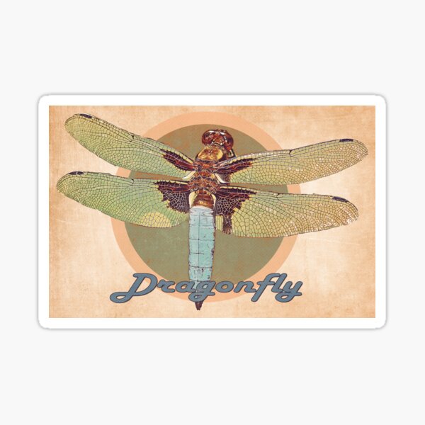 "Dragonfly Retro Poster" Sticker for Sale by werdantem | Redbubble