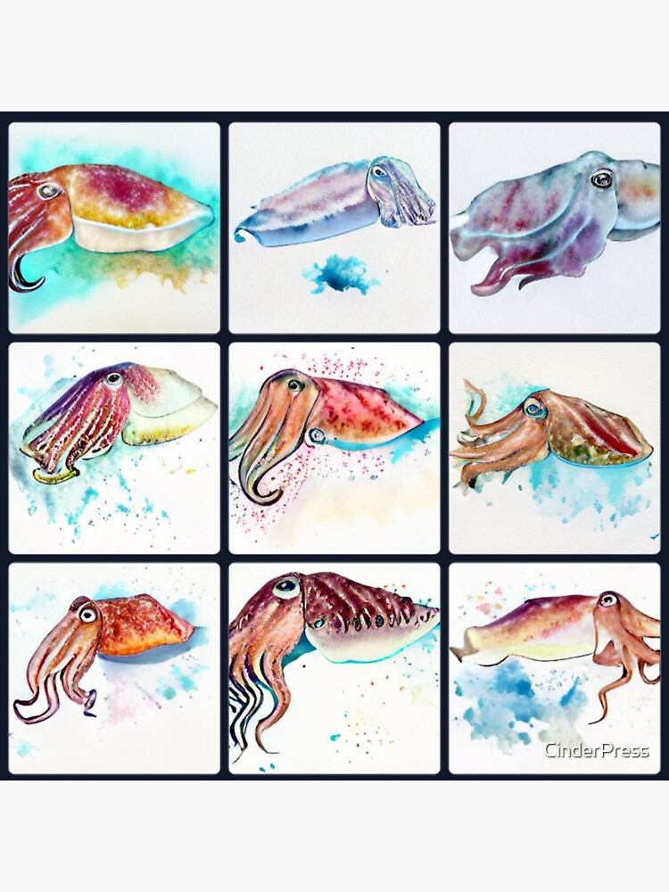"Cuttlefish Pack - Squid and Cuttlefish - Beautiful watercolor art ...