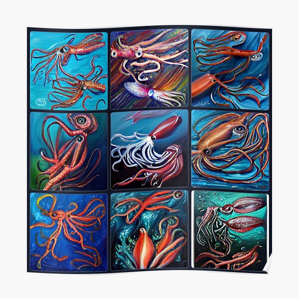 "Squid Pack - Squid and Cuttlefish - Art - Ocean, water art" Poster for ...