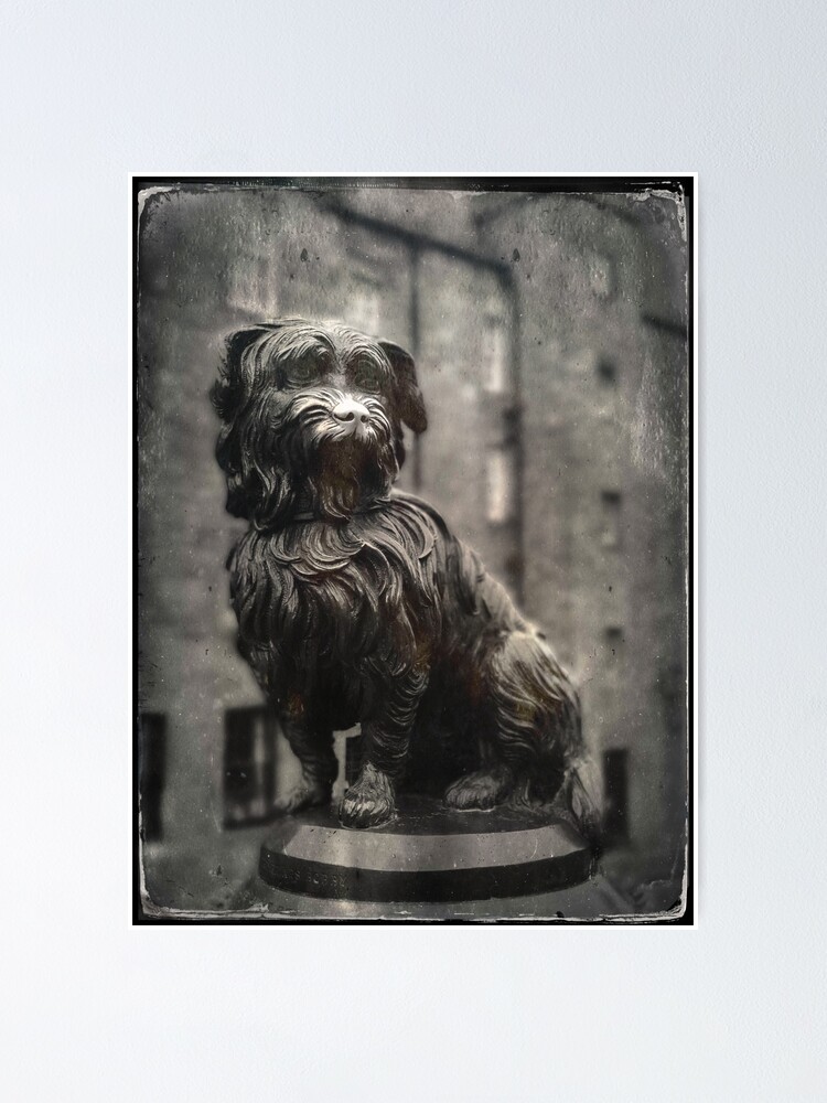 "Greyfriar's Bobby" Poster for Sale by dabowphoto | Redbubble