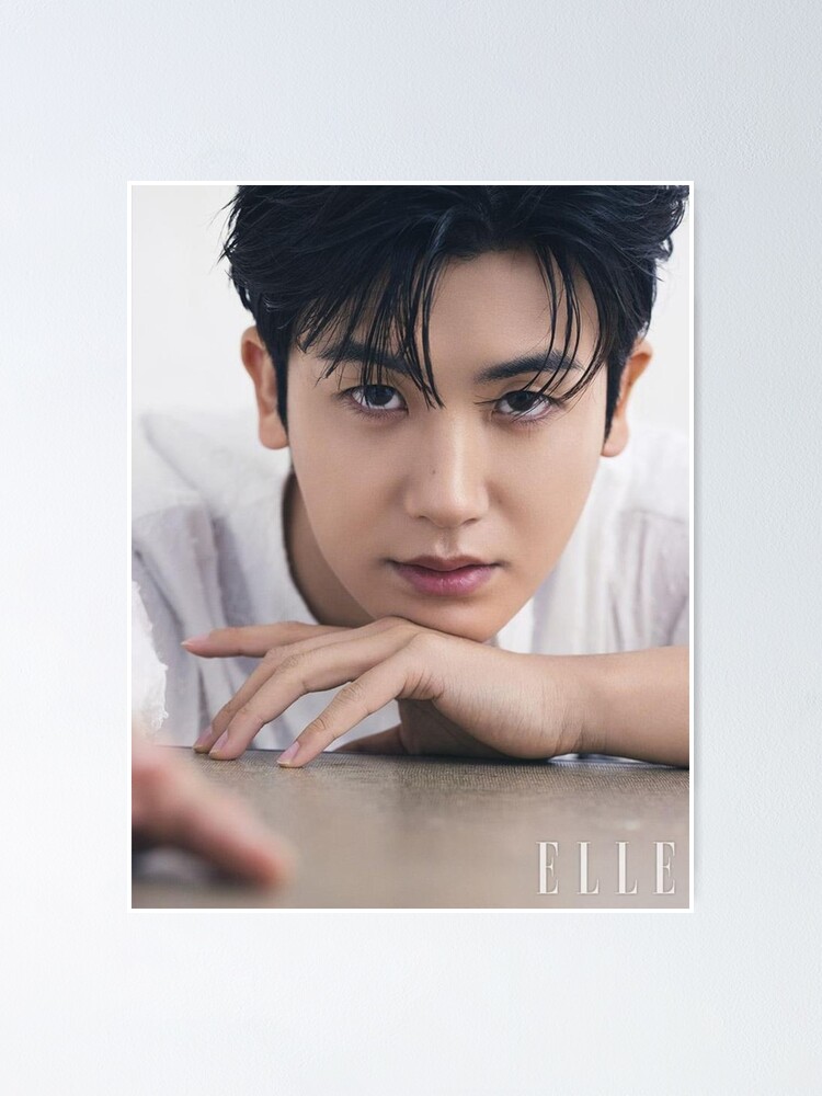 "Park Hyung-Sik" Poster for Sale by kmixx | Redbubble