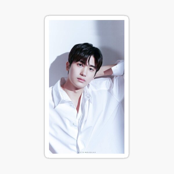 "Park Hyung-Sik" Sticker for Sale by kmixx | Redbubble