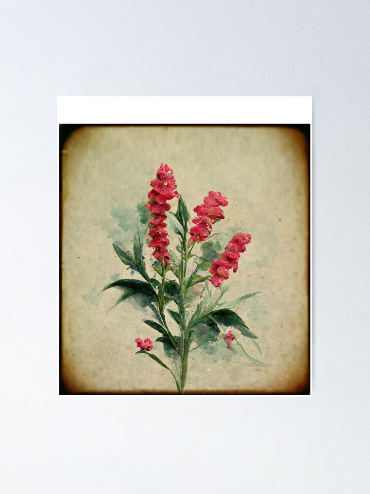 "vintage snapdragons old school" Poster for Sale by ReidDesigns | Redbubble