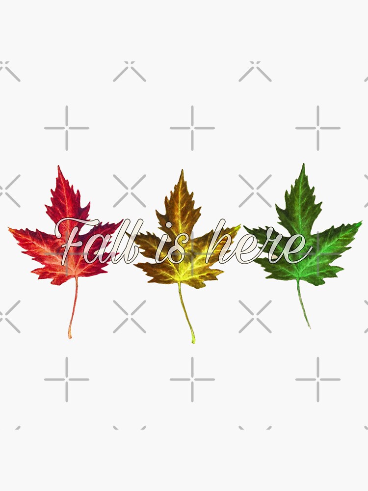 "Fall is here " Sticker for Sale by Kodi97 | Redbubble