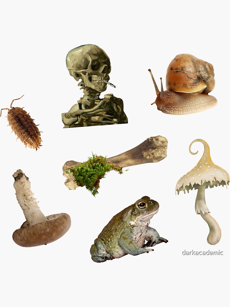 "Goblincore Pack" Sticker for Sale by darkacademic | Redbubble