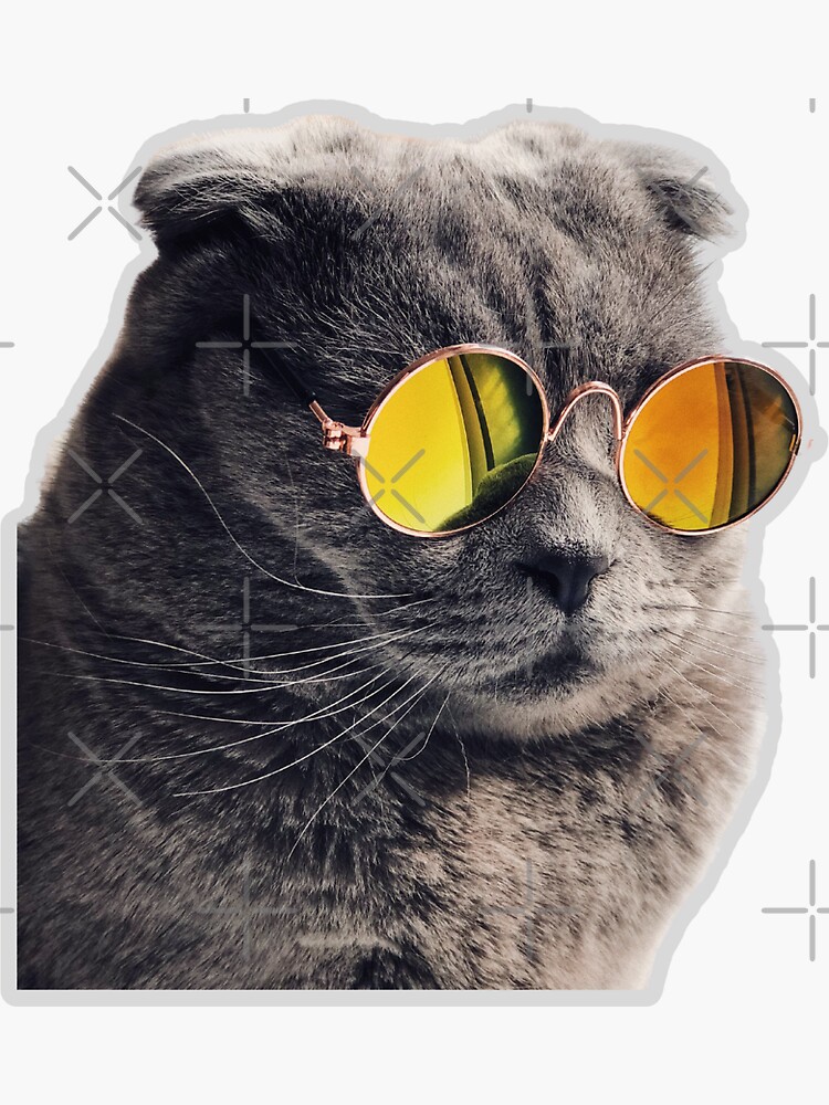 "cool cat with glasses sticker" Sticker for Sale by IDHouse | Redbubble