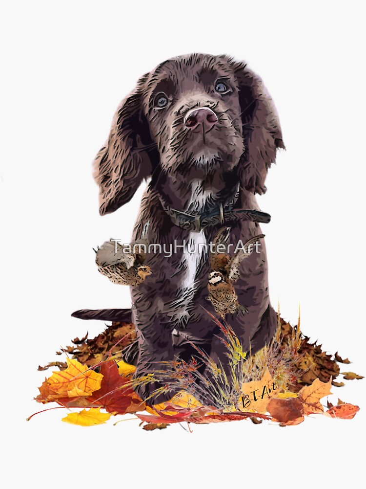 "Chocolate cocker spaniel puppy" Sticker for Sale by TammyHunterArt ...