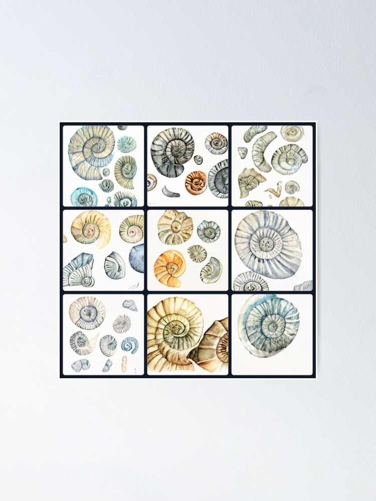 "Fossil Pack " Poster for Sale by CinderPress | Redbubble