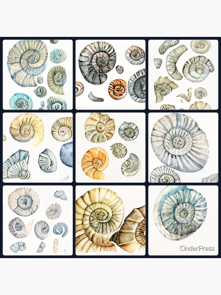 "Fossil Pack " Sticker for Sale by CinderPress | Redbubble