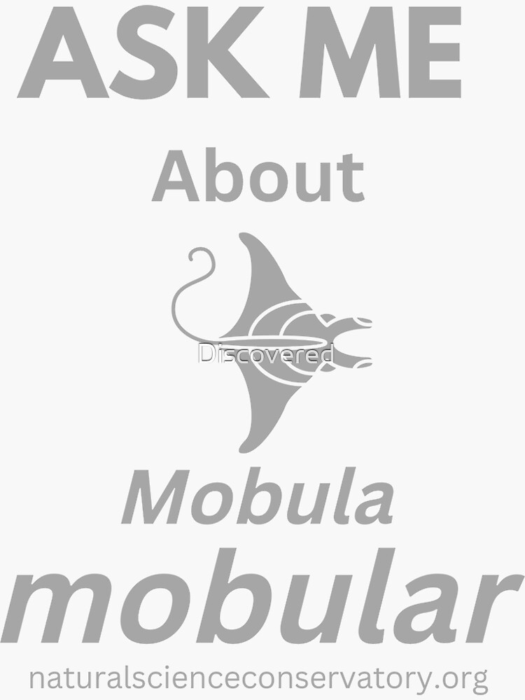 "Ask Me About Mobula mobular (Spinetail Devil Ray)" Sticker for Sale by ...