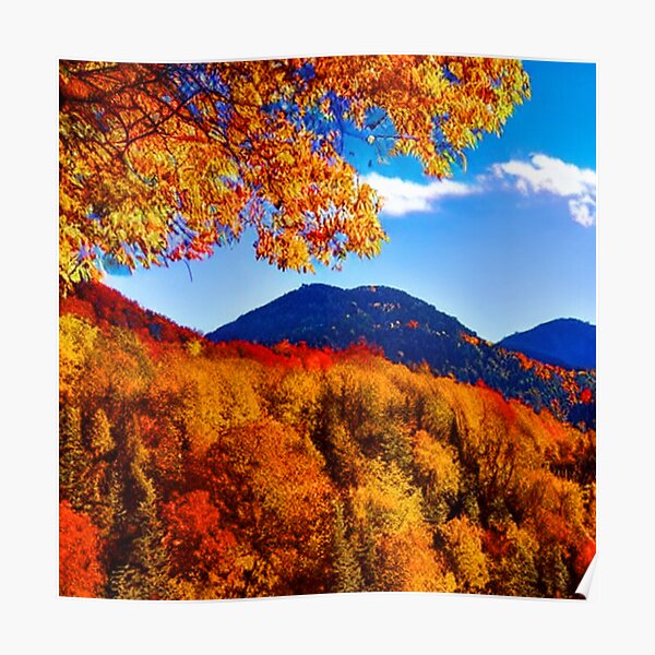 "Rocky Mountain Color Blast" Poster for Sale by TiltedCode | Redbubble