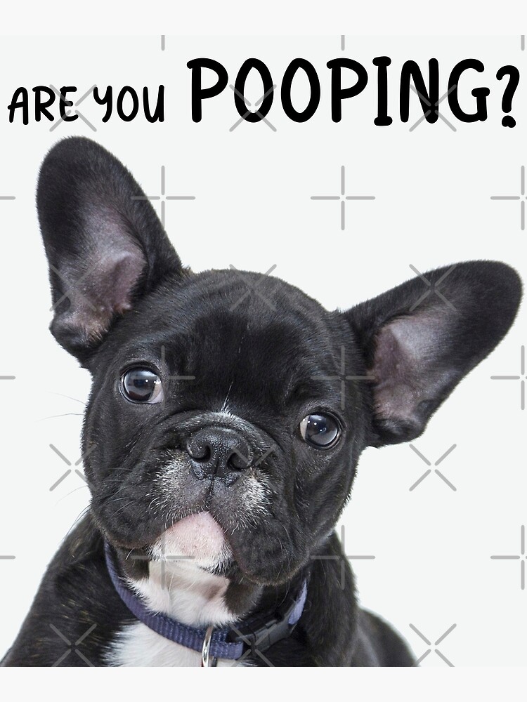 "Are You Pooping Bathroom Print | Frenchie | Frenchie Watercolor Print ...