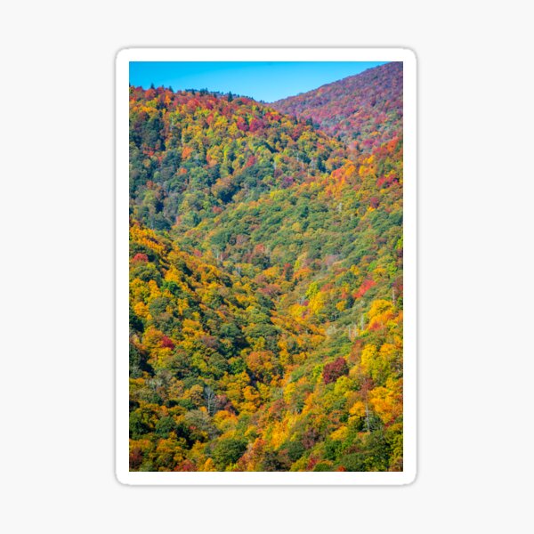 "Autumn along the Blue Ridge" Sticker for Sale by LucyPogosian | Redbubble