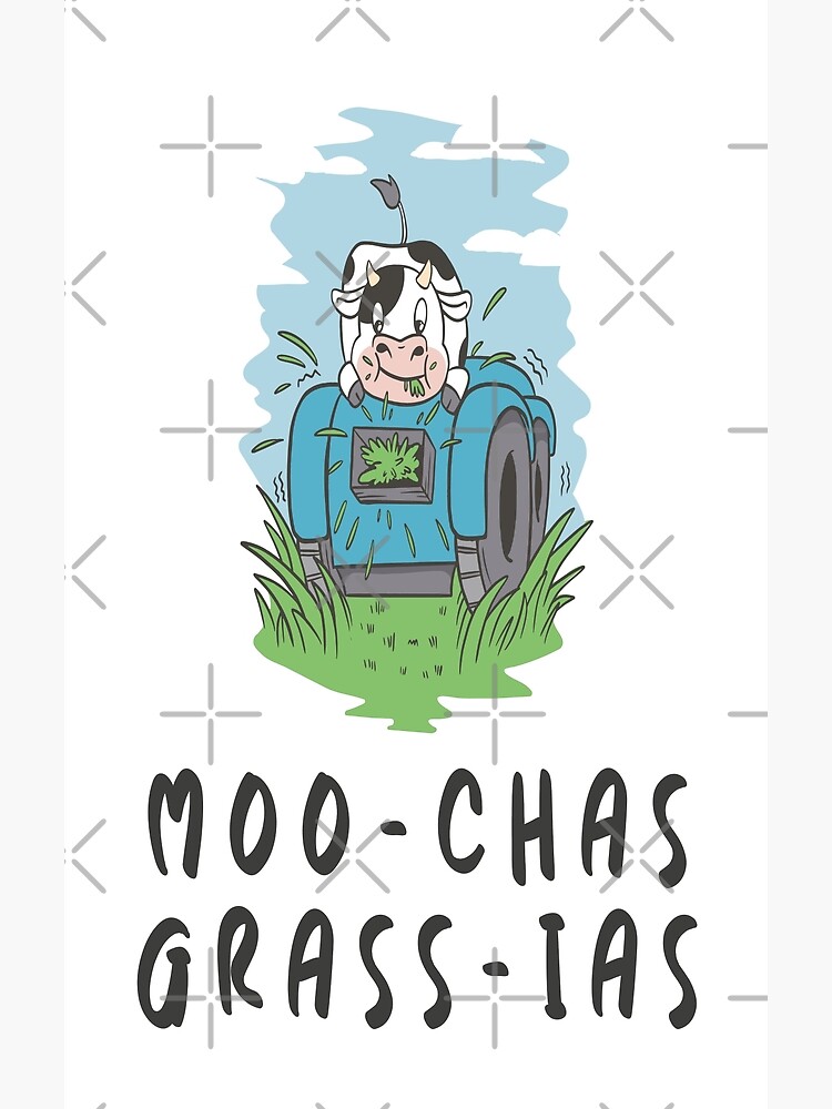 "Moo-chas Grass-ias (Muchas Gracias) - Cute Cow Eating Grass From Lawn ...