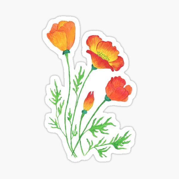 Poppy Stickers | Redbubble