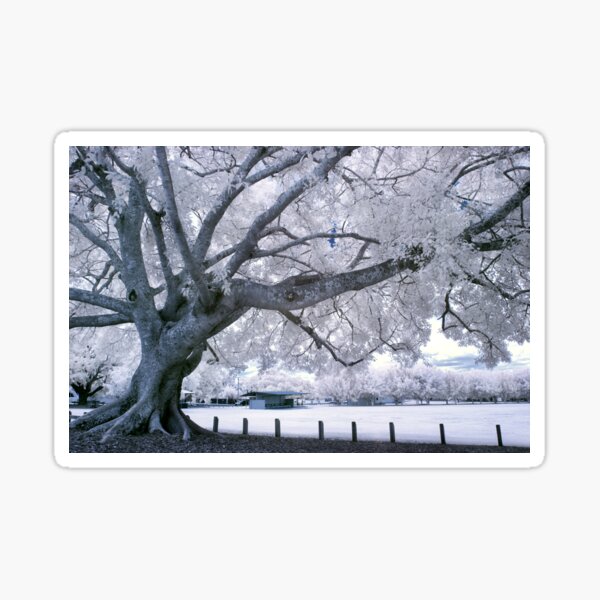 "Cameron Park Infrared" Sticker for Sale by HouseofZen | Redbubble