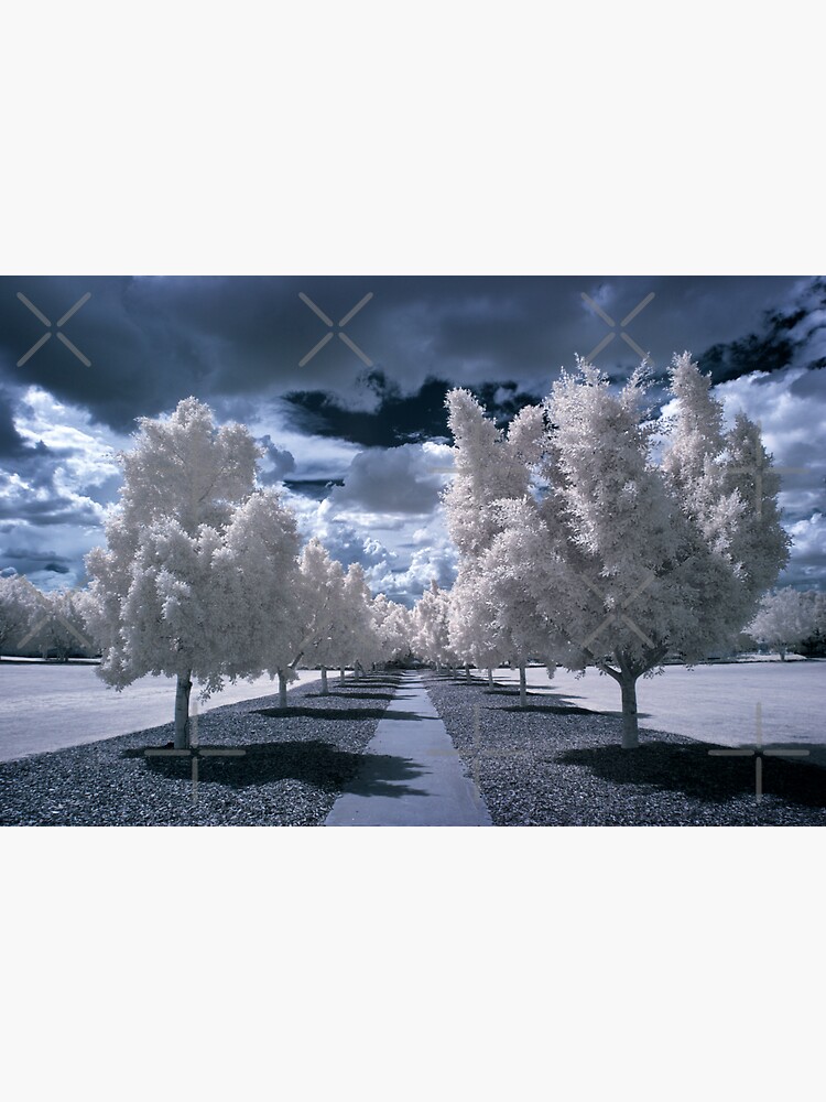 "Pathway" Sticker for Sale by HouseofZen | Redbubble