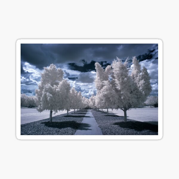 "Pathway" Sticker for Sale by HouseofZen | Redbubble