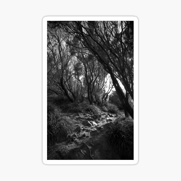 "Sunrise path" Sticker for Sale by HouseofZen | Redbubble