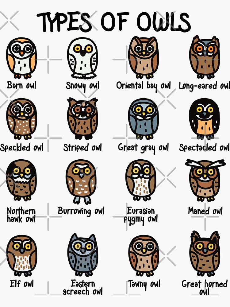"Types of Owls Collection For Cute Owl Lover" Sticker for Sale by ...