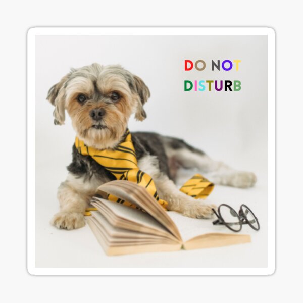 "Do Not Disturb" Sticker for Sale by ForguiltMerch | Redbubble