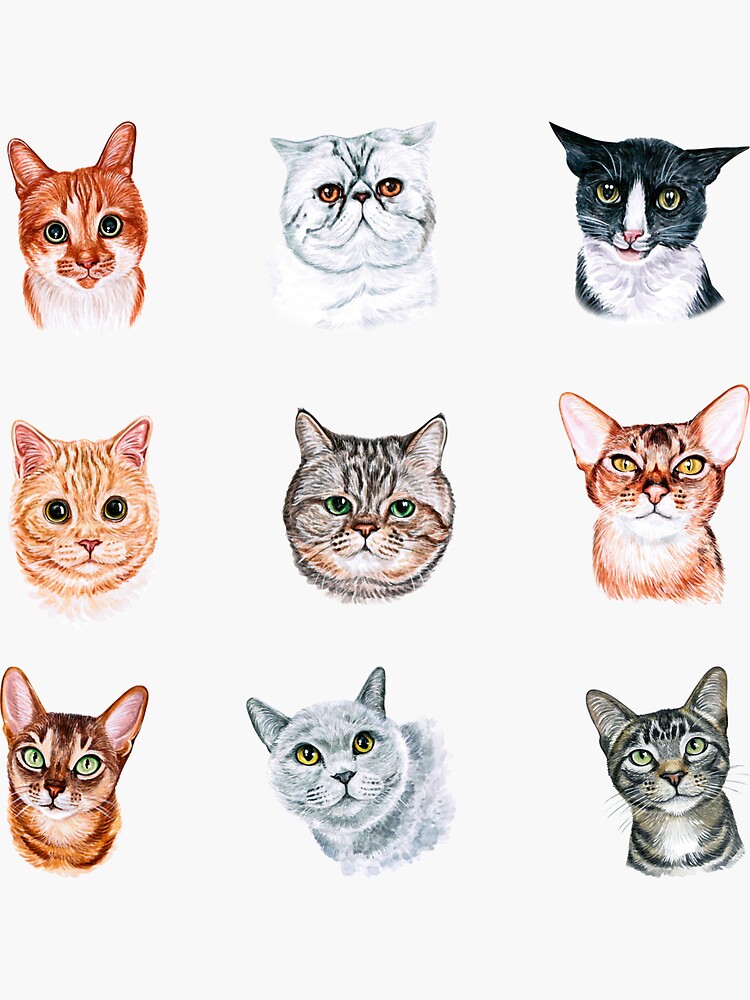"set meme cats pack" Sticker for Sale by felyne-kitty | Redbubble