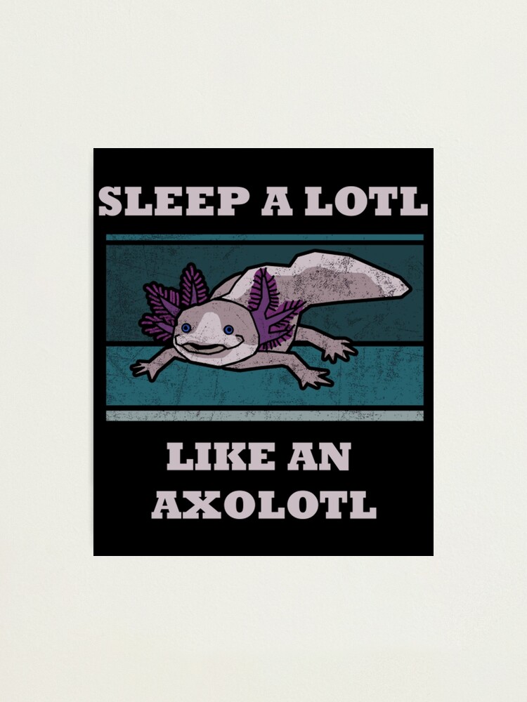 "Meme Axolotl Sleep A Lotl Like An Axolotl" Photographic Print for Sale ...
