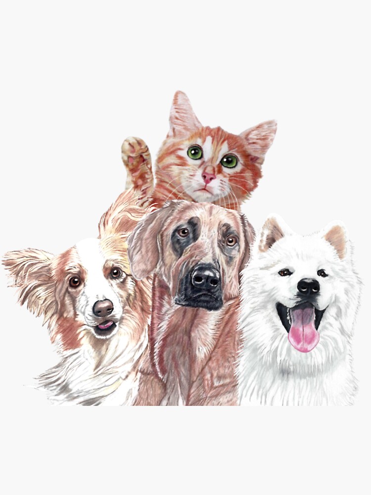 "Three dog, 1 cat collage!" Sticker for Sale by daveand65 | Redbubble