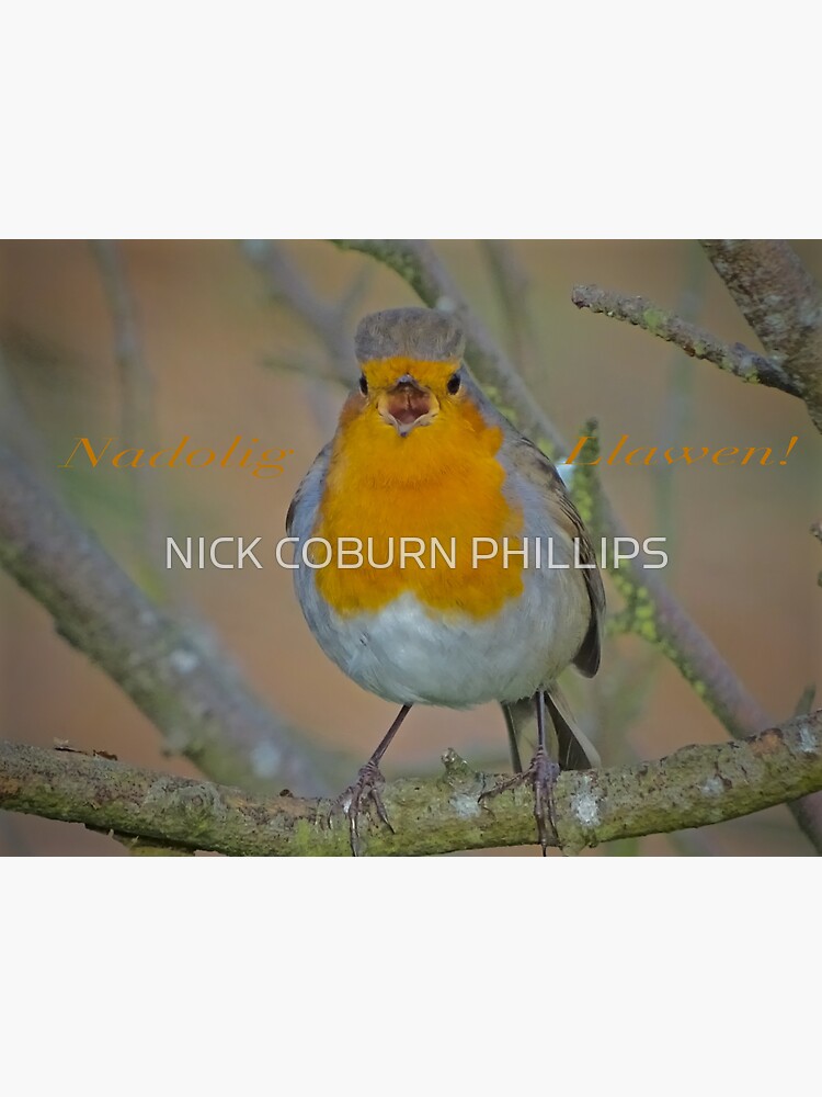"ROBIN GOCH NADOLIG! " Sticker by dumbodancer | Redbubble