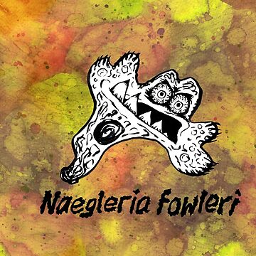 "Naegleria fowleri" Sticker for Sale by eliza-coli | Redbubble