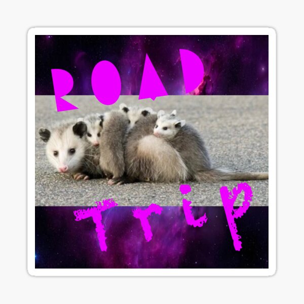 "Awesome Possum Road Trip" Sticker for Sale by hammielee | Redbubble