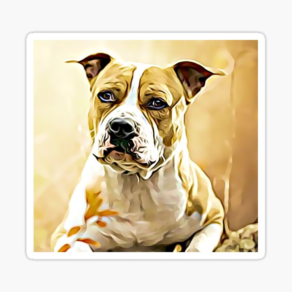 "Stafford Pit Bull" Sticker for Sale by Gallenzy1 | Redbubble