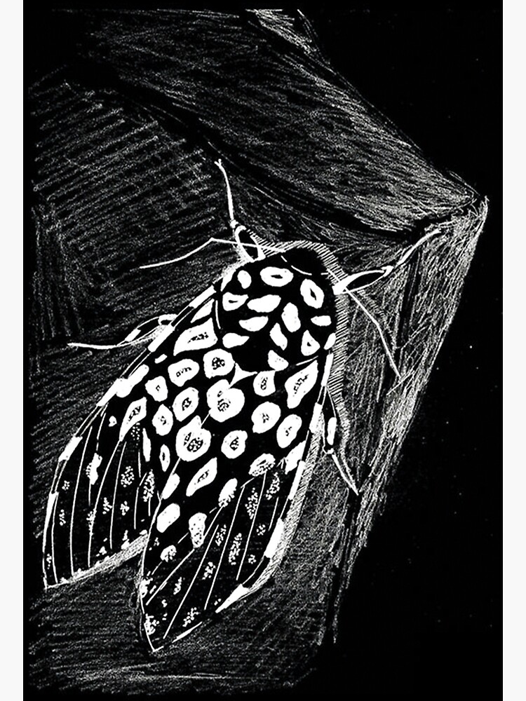 "black-moth | crawl | creepy | resting" Poster for Sale by LeoVaMi ...