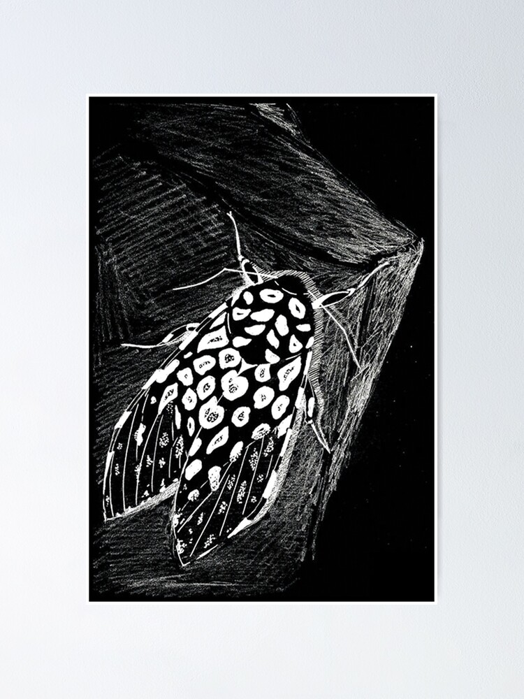 "black-moth | crawl | creepy | resting" Poster for Sale by LeoVaMi ...