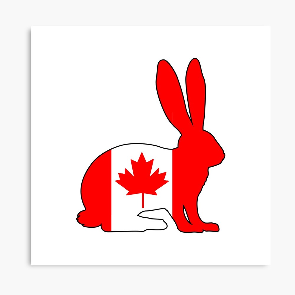"Canada flag bunny rabbit" Canvas Print by artisticattitud | Redbubble
